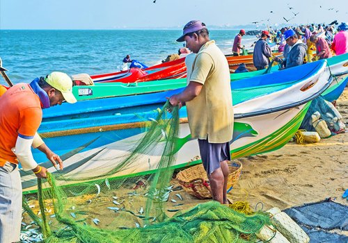 negombo-fishmarket – Haya Lanka Tours